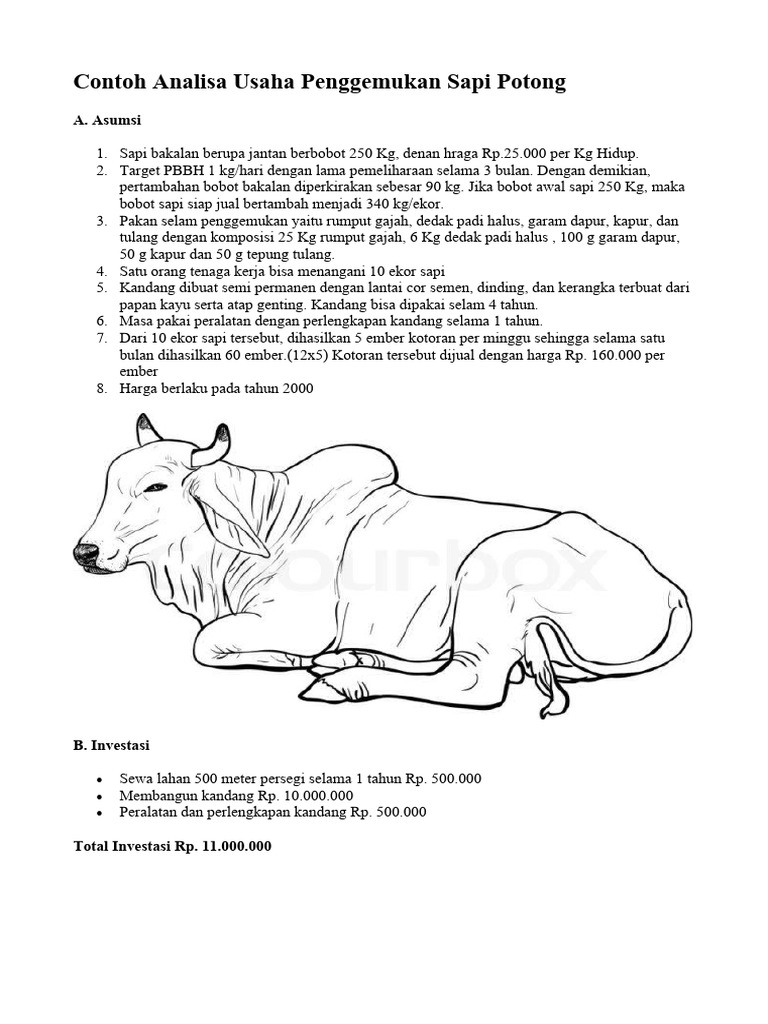 Contoh 1 Analisa Usaha Penggemukan Sapi P | PDF