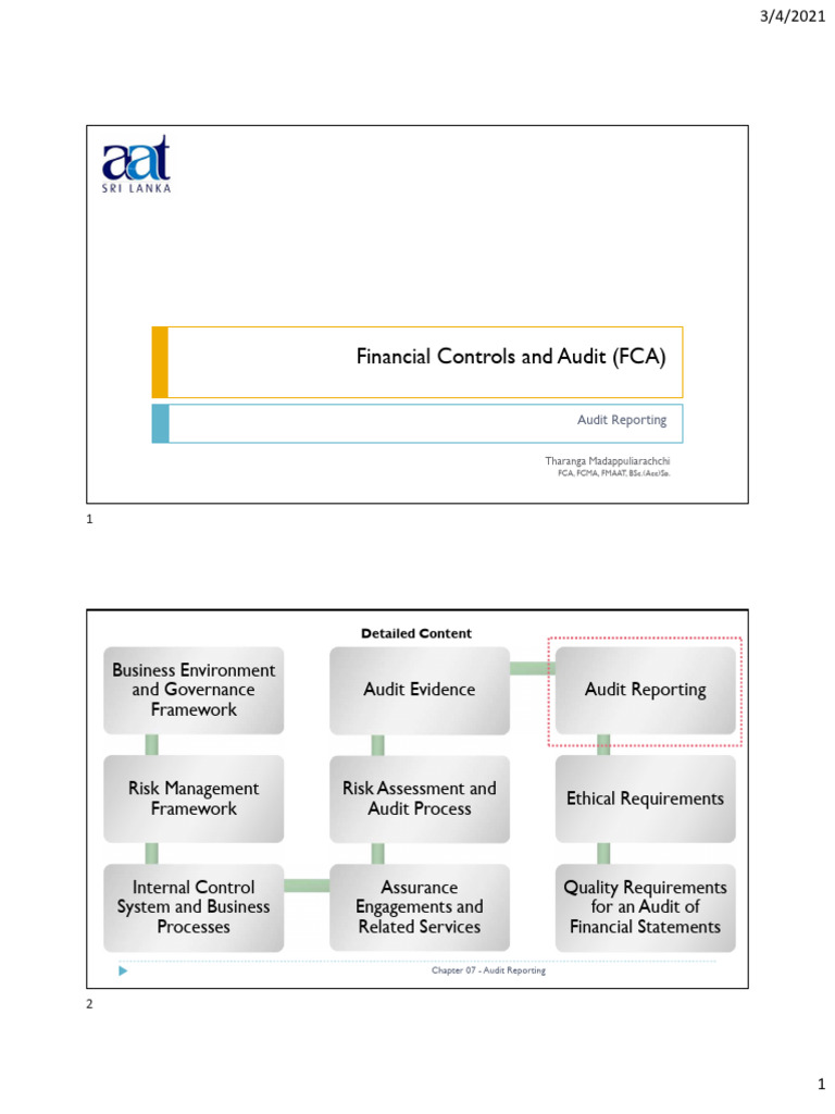 Chapter 07 - Audit Reporting | Download Free PDF | Financial Audit | Going Concern