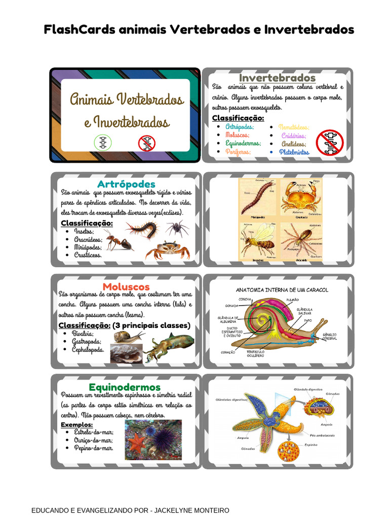 Cards Animais Vertebrados e Invertebrados | PDF | Vertebrados | Peixes