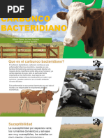 PIOTÓRAX | PDF | Medicina | Inmunología