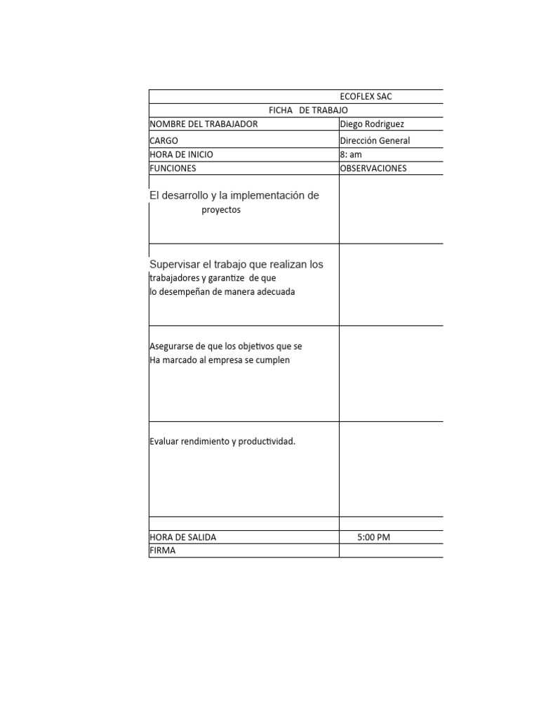 Organigrama y Fichas Emresa Ecoflex | PDF | Gestión de recursos humanos ...