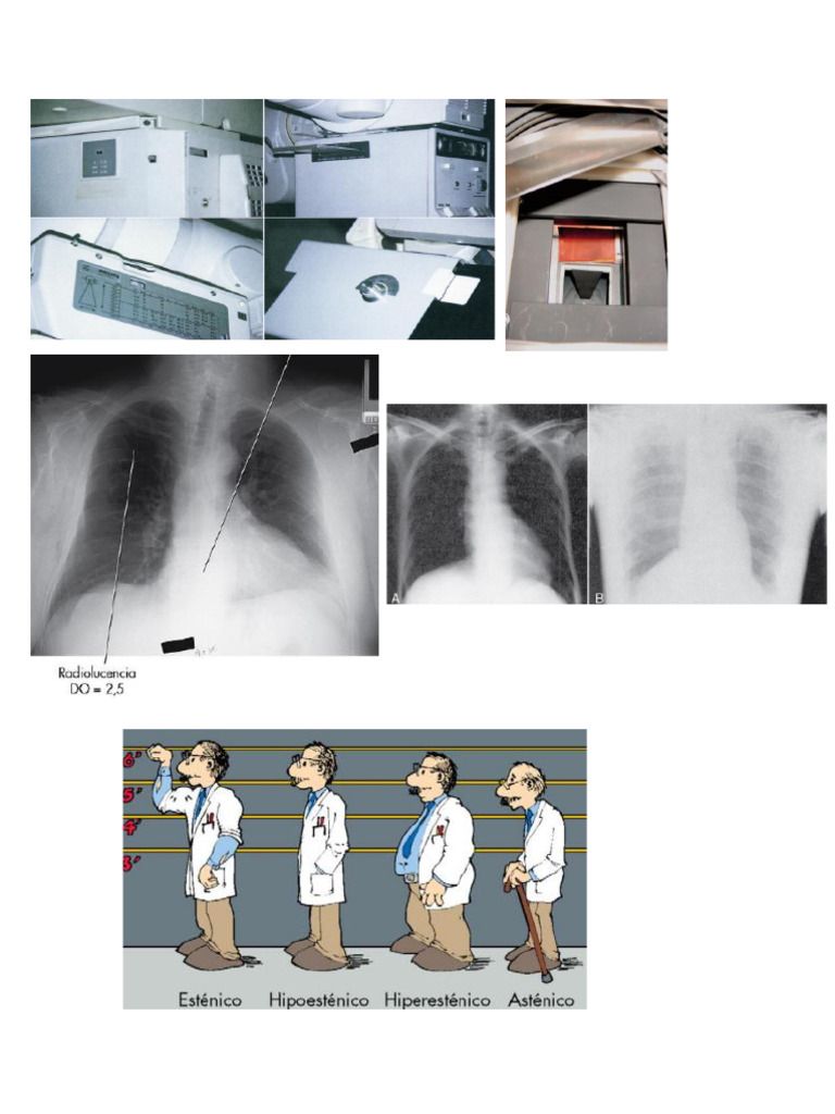 Imágenes Evidencia Etapa 3 Chuy | PDF