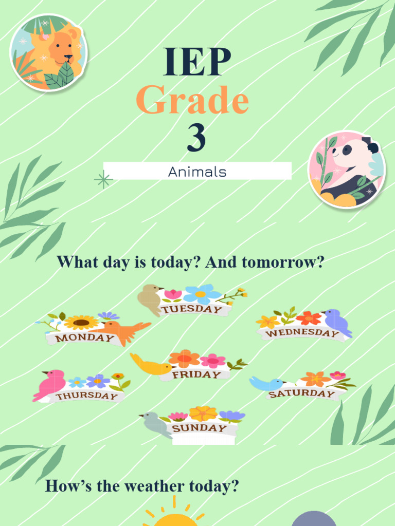 Grade 3 Animals IEP Activities Guide | PDF | Planets | Saturn