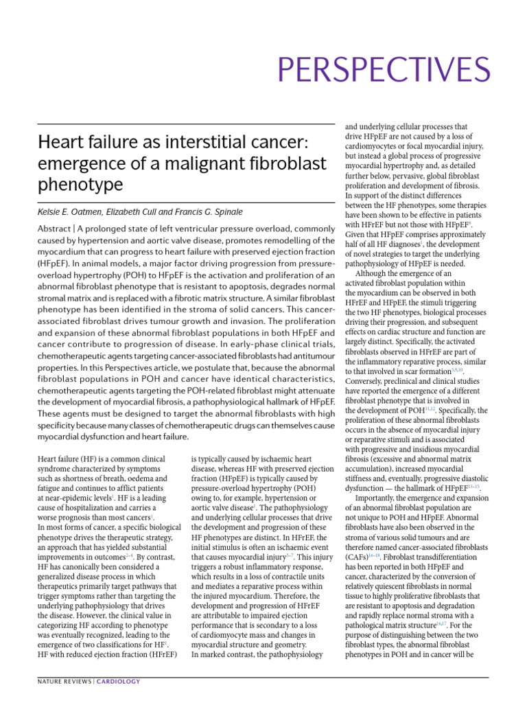 FIBROBLAST | PDF | Transforming Growth Factor Beta | Extracellular Matrix