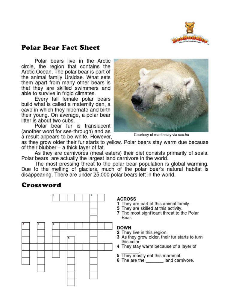 Polar Bear Wordsheet and Activity Sheet | PDF | Home & Garden