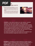 Livideces Cadavéricas: Definición y Evolución | PDF | Color | Sangre
