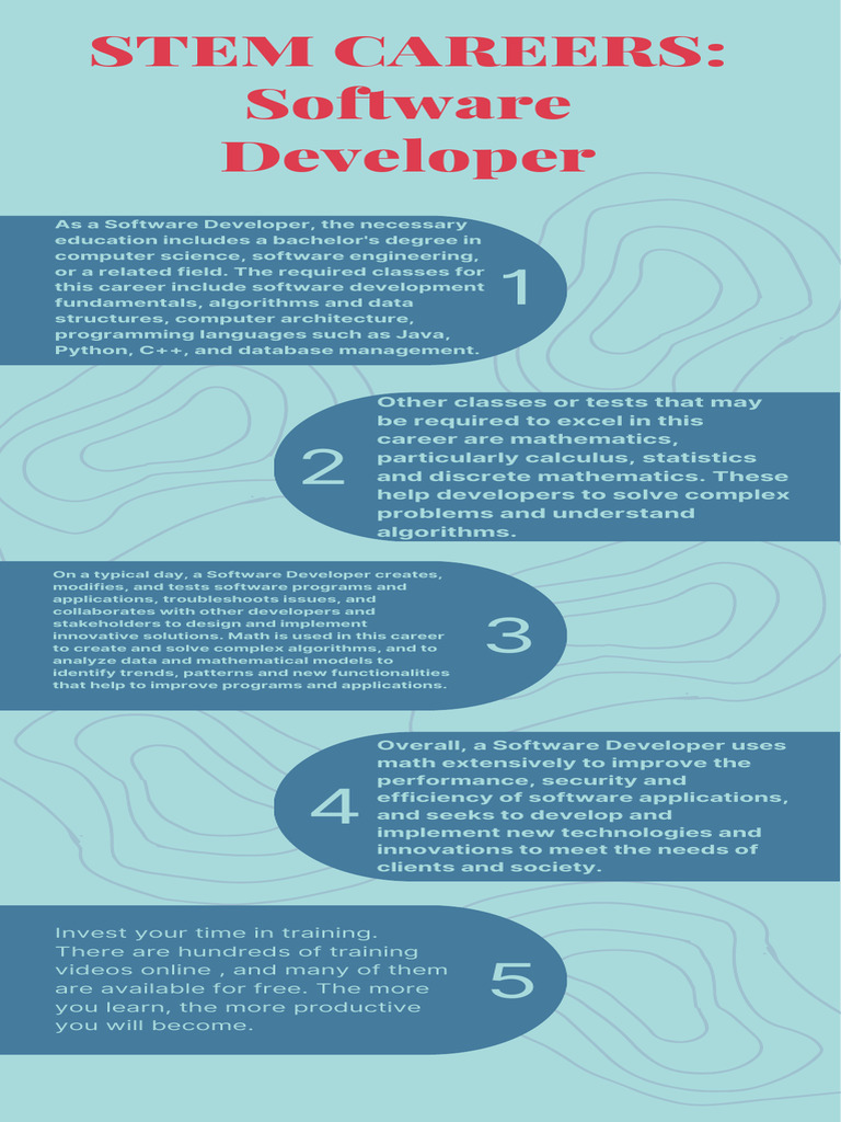 Software Developer | PDF | Programmer | Mathematics