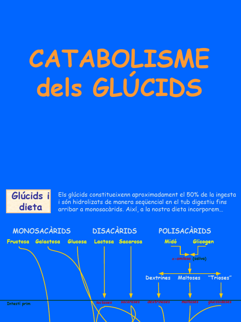 Classroom ' - 13 Feb 2023, 12:56 | PDF
