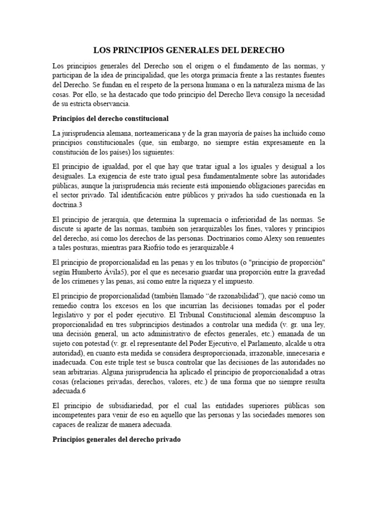 Los Principios Generales Del Derecho Pdf Justicia Crimen Y Violencia