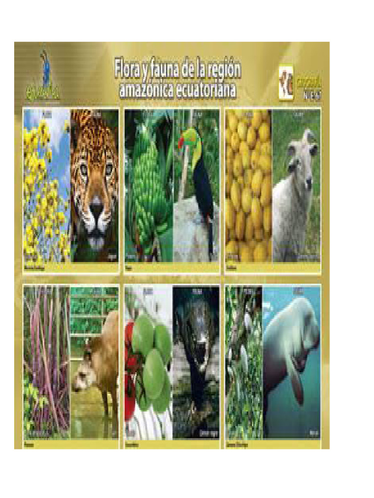 Flora y Fauna | PDF