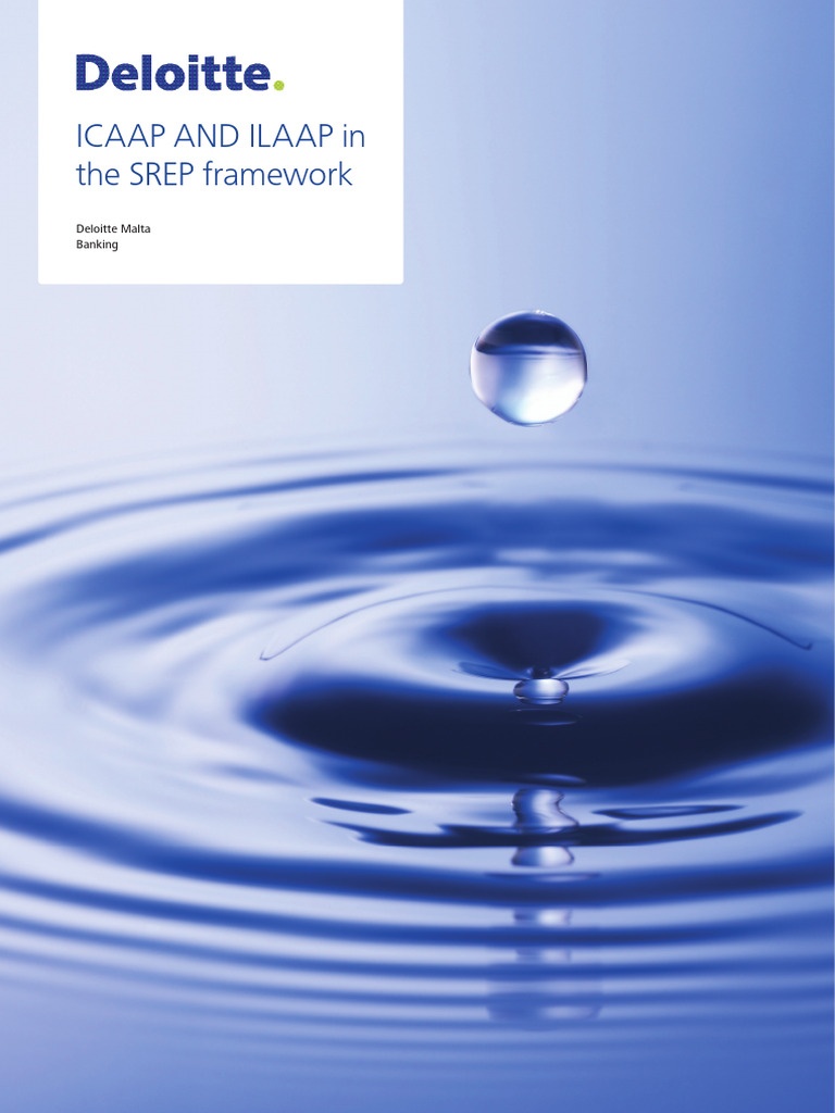 DT MT Srep Pub Icaap Ilaap | PDF | Risk | Liquidity Risk