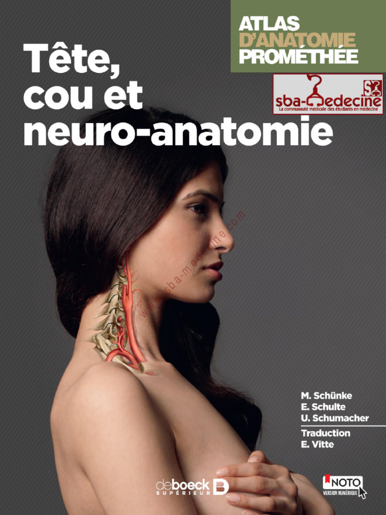 Atlas D'anatomie Prométhée Tête, Cou Et Neuro Anatomie | PDF