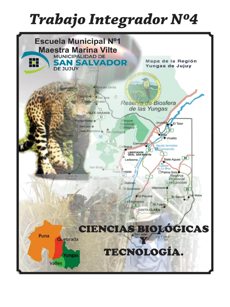 "YUNGAS" T.P N°4 TyB | PDF | Ecosistema | Selva