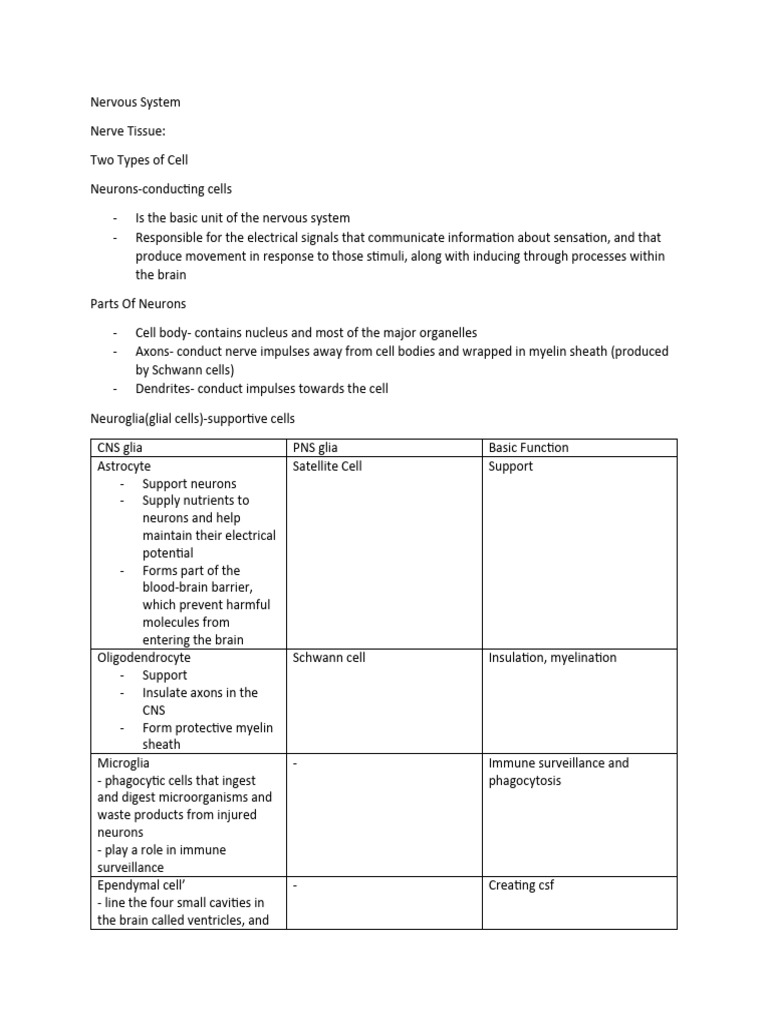 Nervous (Doc Notes) | PDF | Nervous System | Central Nervous System