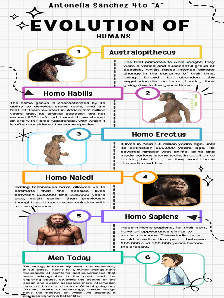 Linea de Tiempo | PDF | Homo | Human
