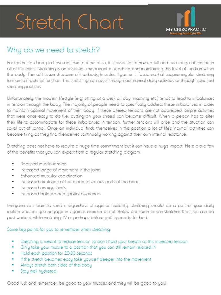 Stretch Chart New | PDF | Foot | Anatomical Terms Of Motion