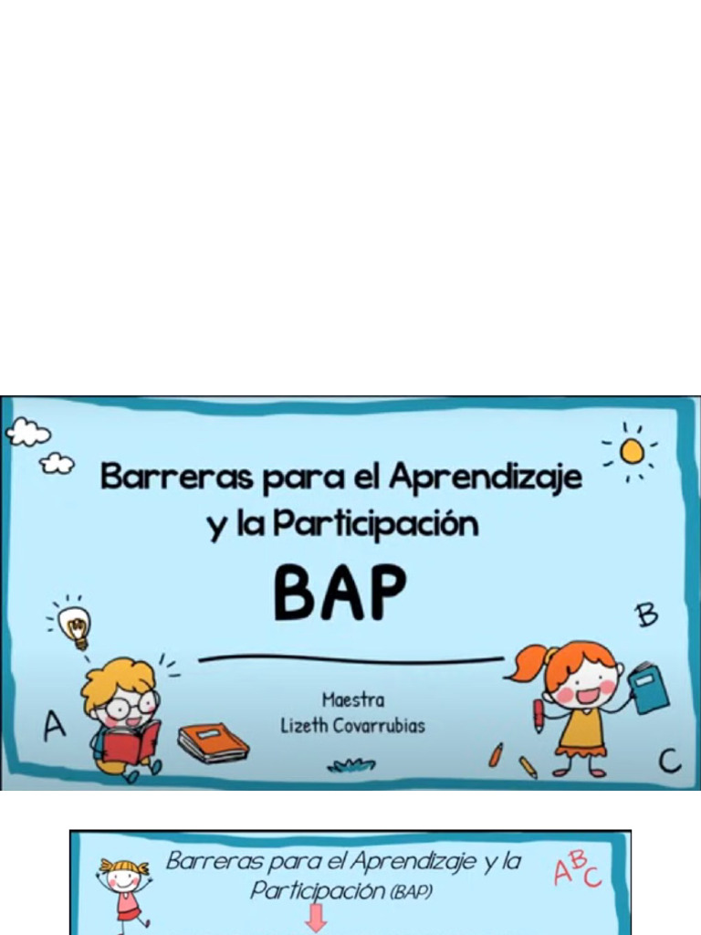 BAP | PDF