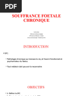 ERCF | PDF | Grossesse | Accouchement