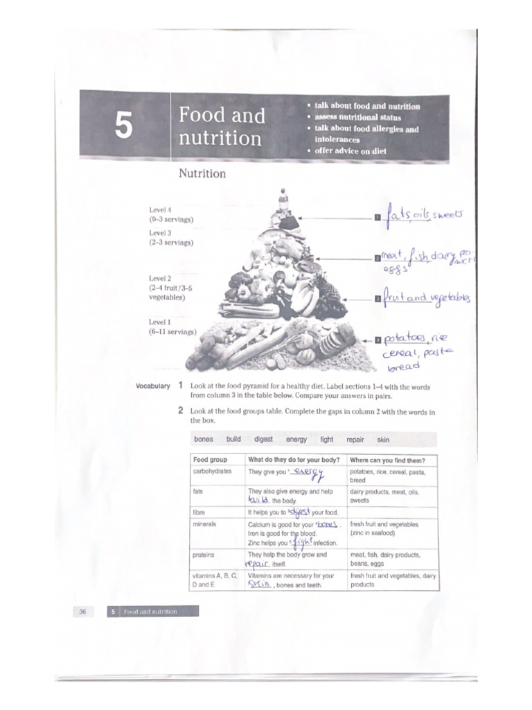 Unit 5 | PDF