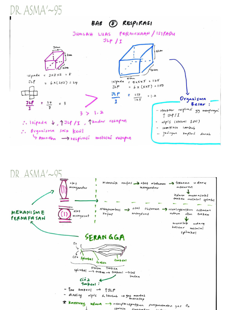 Bio F4 KSSM Bab 8 | PDF Bio F4 KSSM Bab 8 | PDF