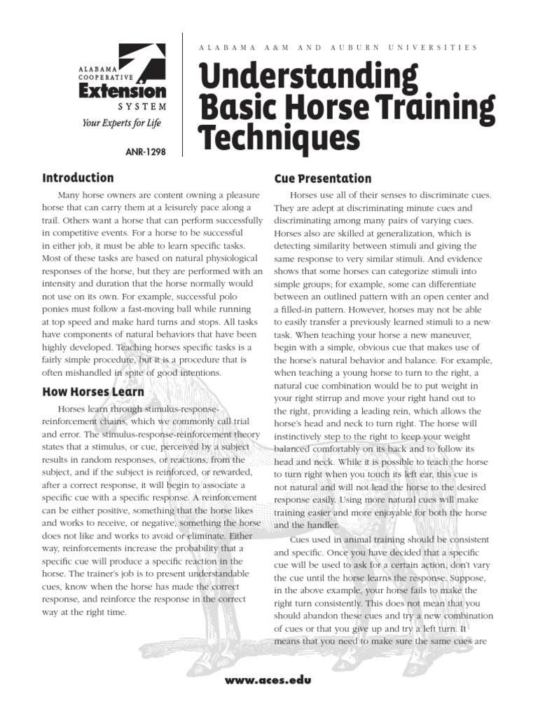 Basic-Horse-Training-Techniques-ANR-1298 | PDF | Reinforcement | Animal ...