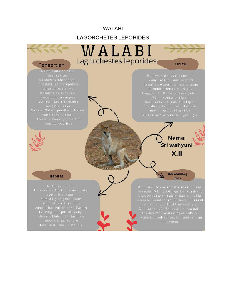 Karakteristik dan Habitat Walabi | PDF