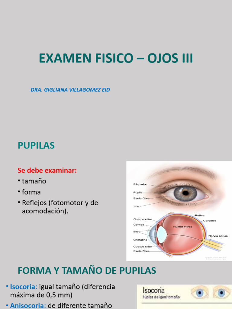 Examen Fisico - Ojo III | PDF | Ojo humano | Percepción visual