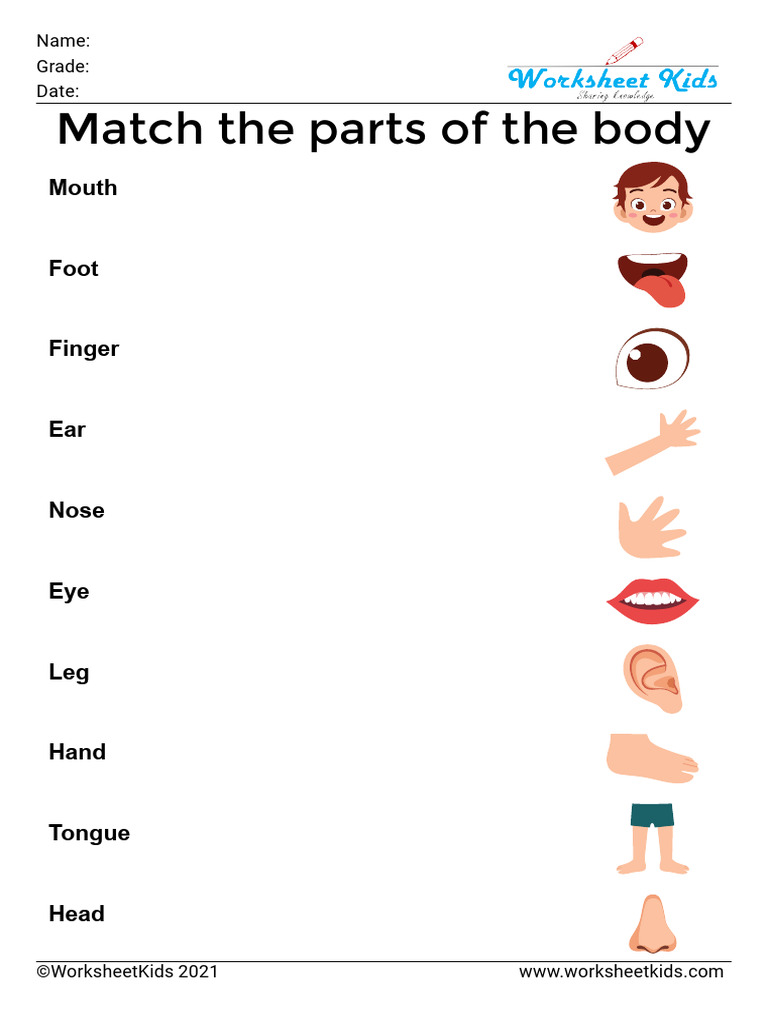 Match the Parts of the Body 1 | PDF