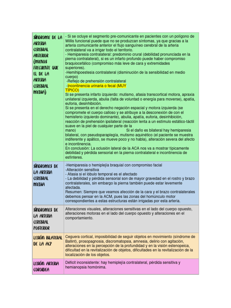 Cuadro síndromes arterias cerebrales ACV | PDF | Cerebro | Afasia