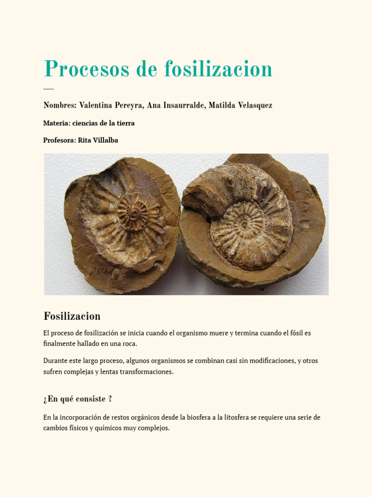 Tipos y procesos de fosilización | PDF | Fósil | Naturaleza
