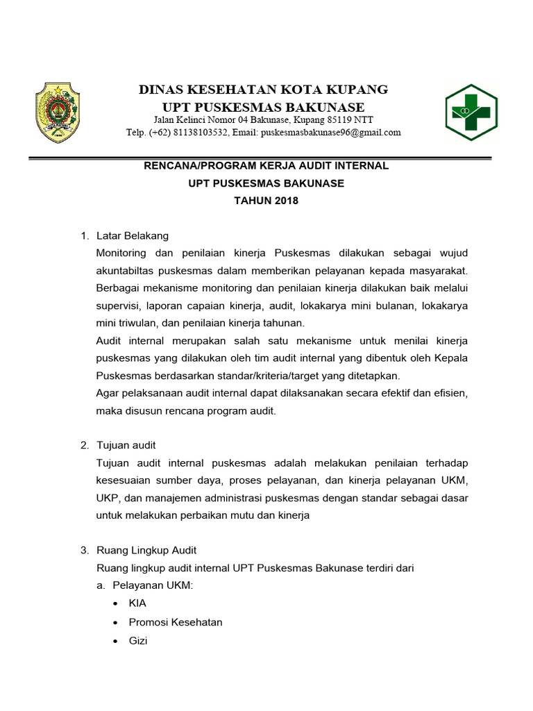 RENCANA KERJA AUDIT Contoh | PDF