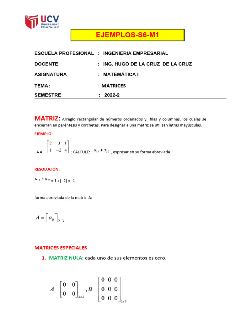 Introducción a las Matrices | PDF | Matriz (Matemáticas) | Álgebra abstracta
