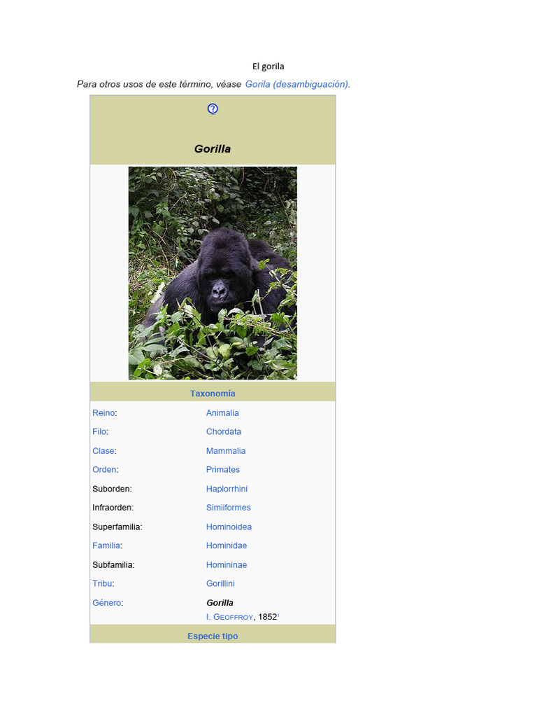 El Gorila | PDF | Gorila | Mono