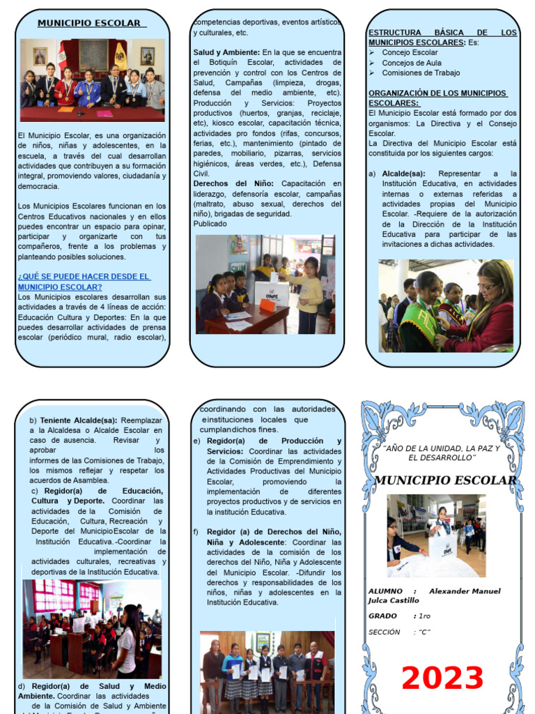 Triptico 2 Curso | PDF