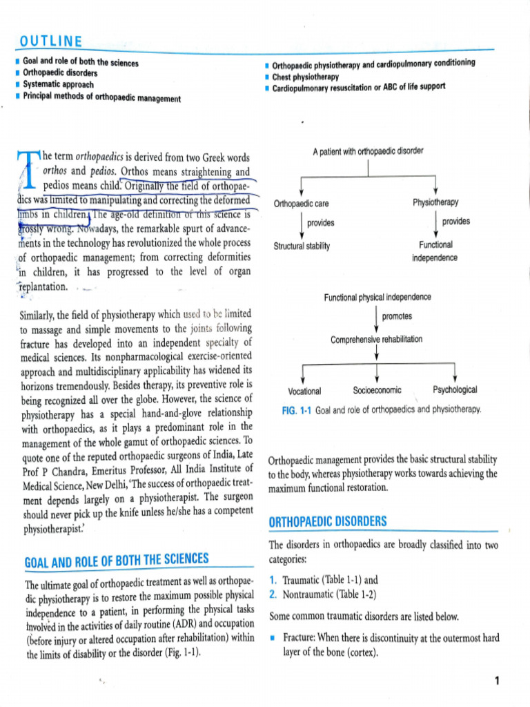Physiotherapy | PDF | Physical Therapy | Injury