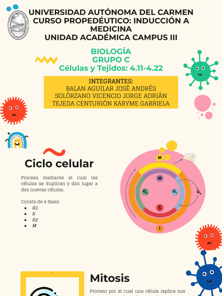 Células y Tejidos - C | PDF | Biología Celular) | Citoplasma