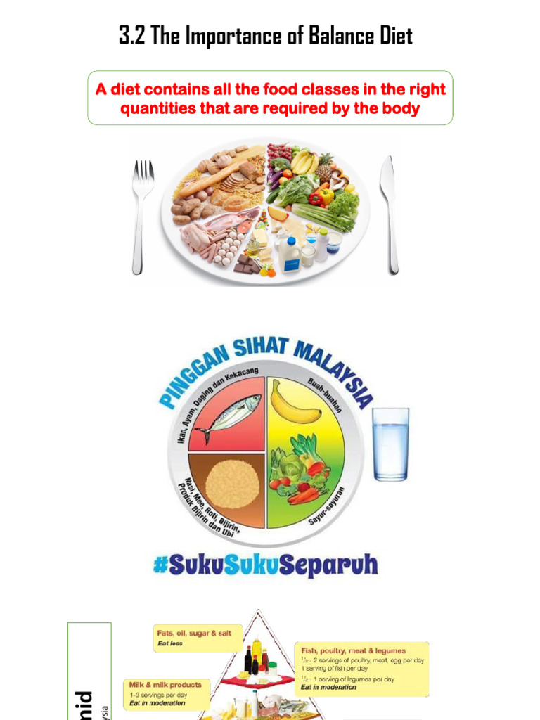 3.2 Importance of A Balanced Diet | PDF | Food Energy | Calorie