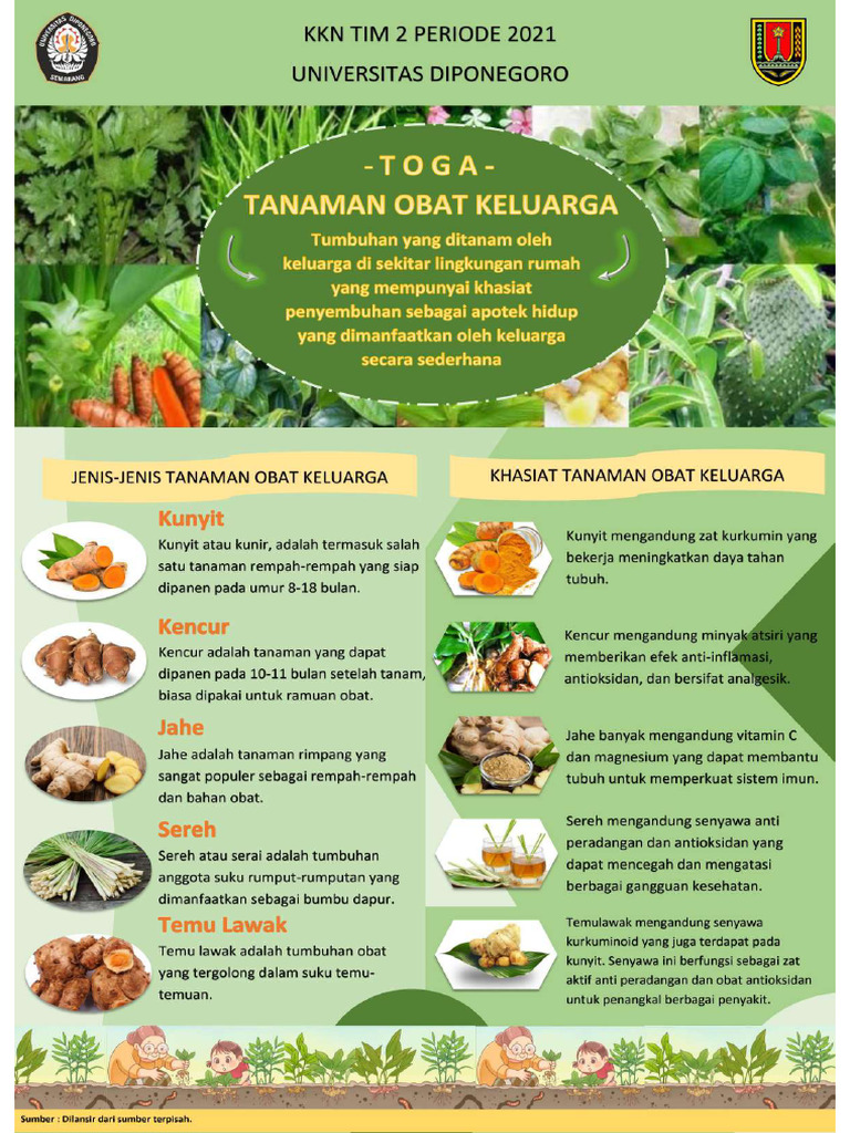 Poster Tanaman Obat Keluarga TOGA | PDF