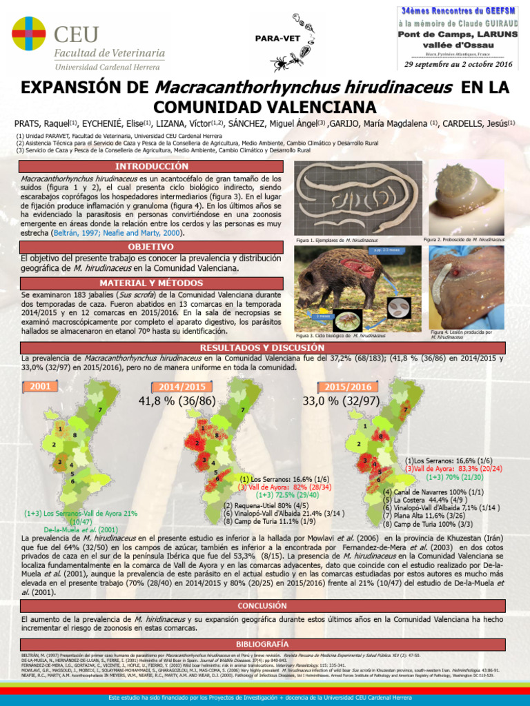 GEEFSM2016 POSTER PRATS Macracanthorhynchus Hirudinaceus | PDF ...