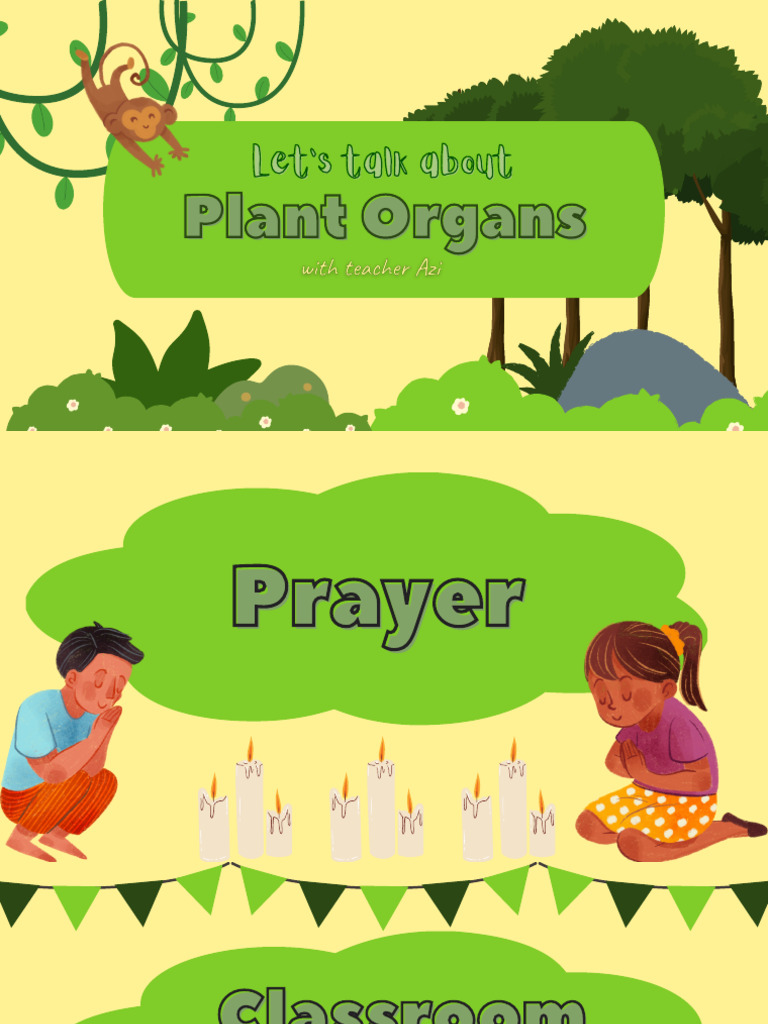 Overview of Plant Organs and Functions | PDF | Fruit | Leaf