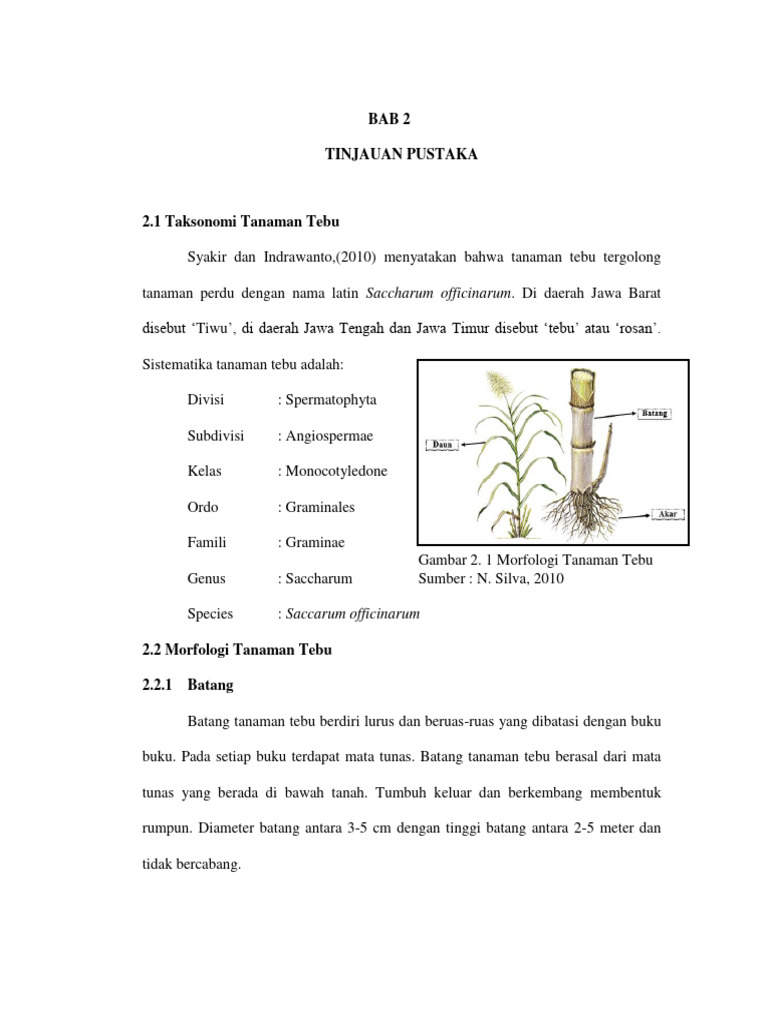 Penjelasan Tebu | PDF