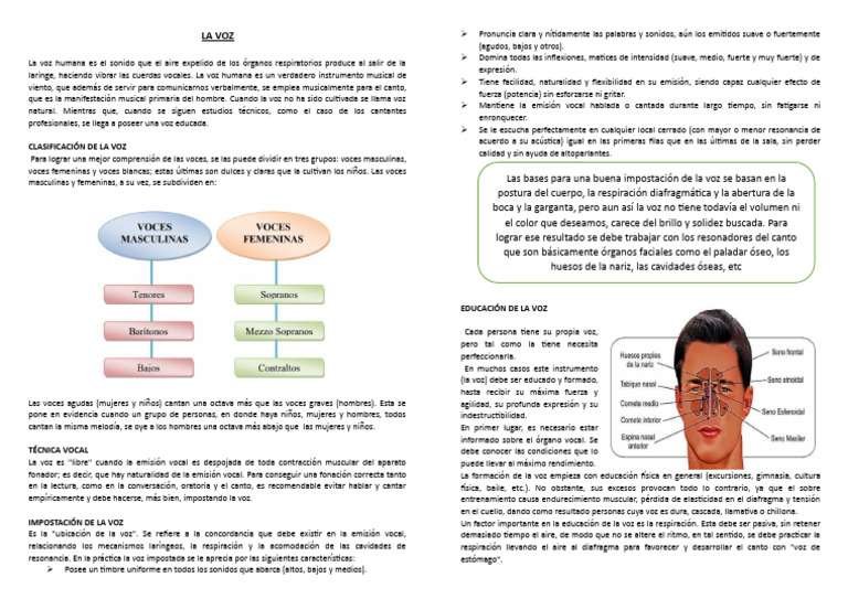 Guía Completa sobre la Voz Humana | PDF | Canto | Voz humana