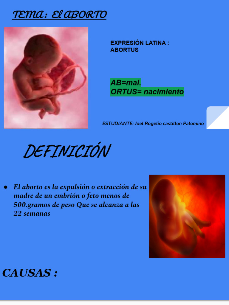 El Aborto | PDF | Aborto | El embarazo