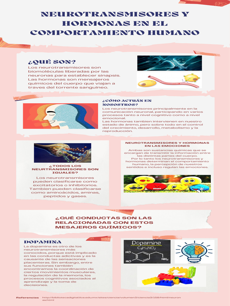 Infografia de Neurotransmisores y Hormonas en El Comportamiento Humano Emiliano Durán Zendejas ...