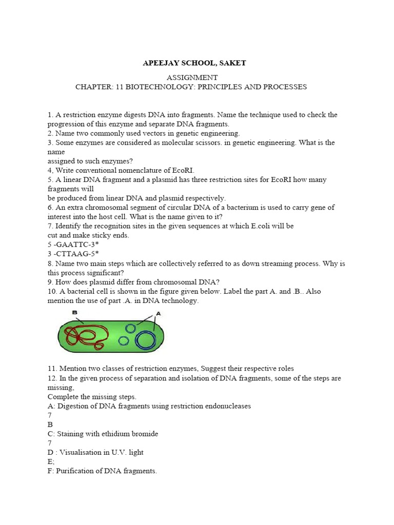 Assignment Biotechnology | PDF | Restriction Enzyme | Plasmid