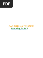 SAP Dunning Configuration Guide | PDF | Accounts Payable | Computing