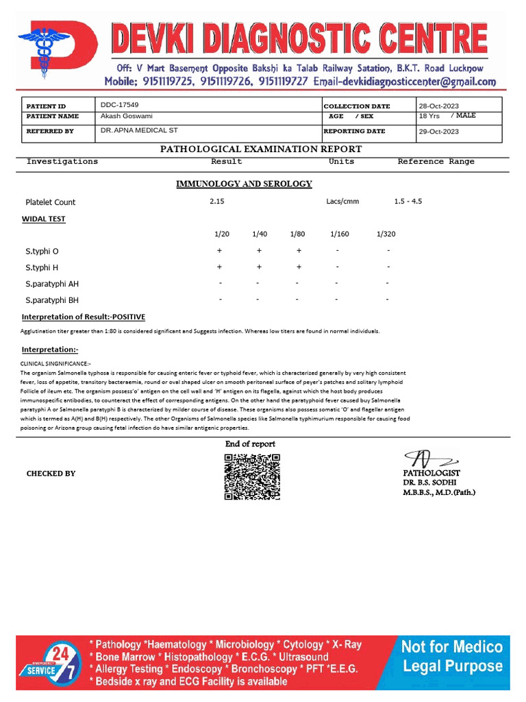 Positive Typhoid Report Summary | PDF | Salmonella | Serology