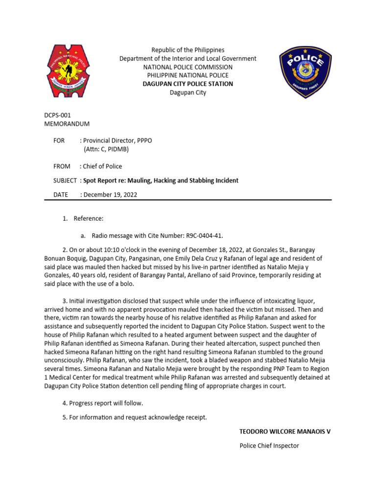 Spot-Progress Report | PDF | Detention (Imprisonment) | Crime & Violence