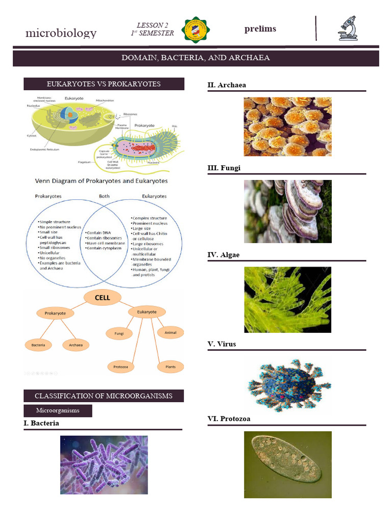 Lesson 2 | PDF | Bacteria | Archaea