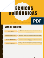 Vulvoplastia | PDF | Vagina | Especialidades Medicas